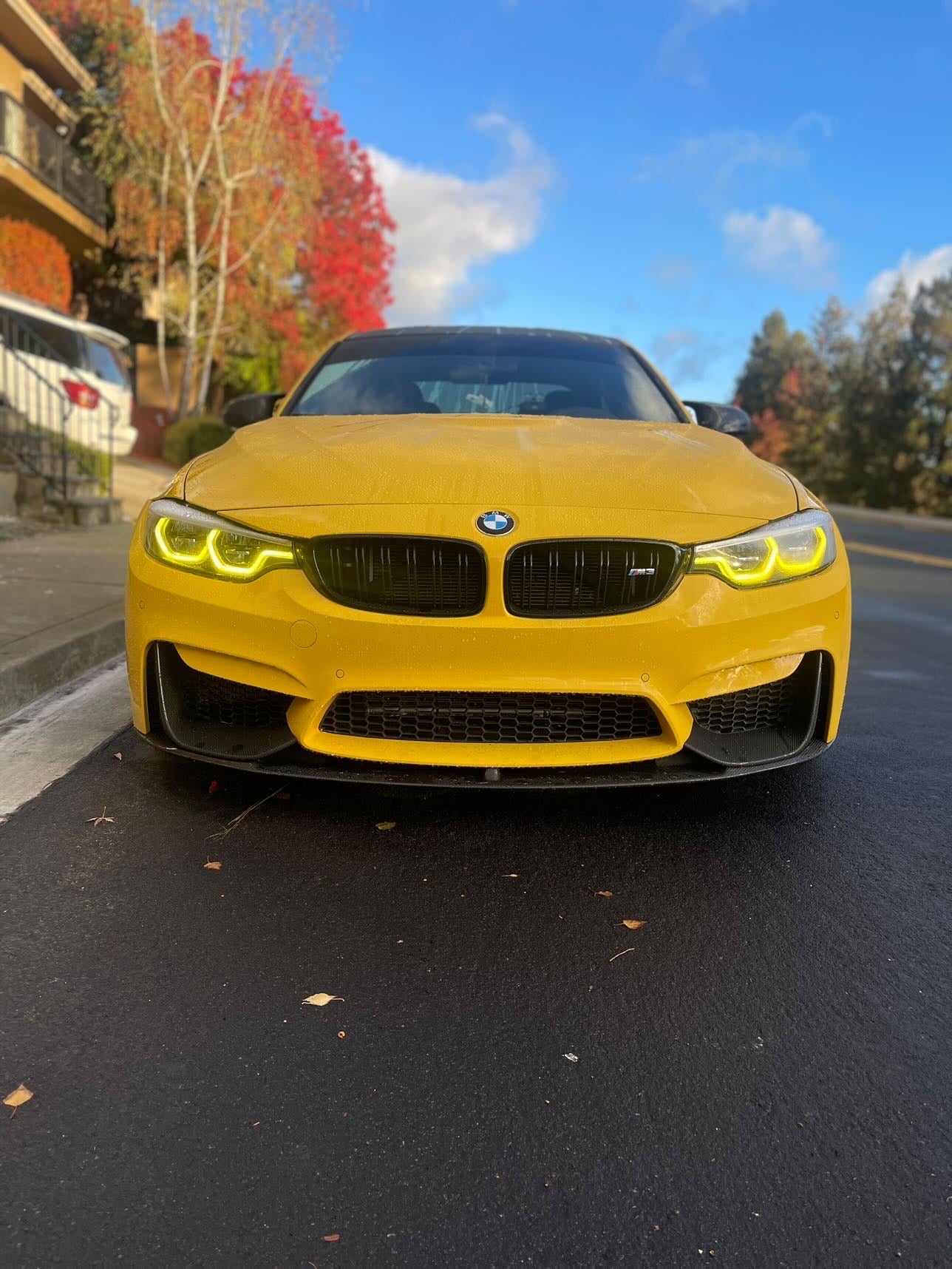 BMW F8X M3 M4 Colored LED DRL Headlight Halo Kit | Mashimarho