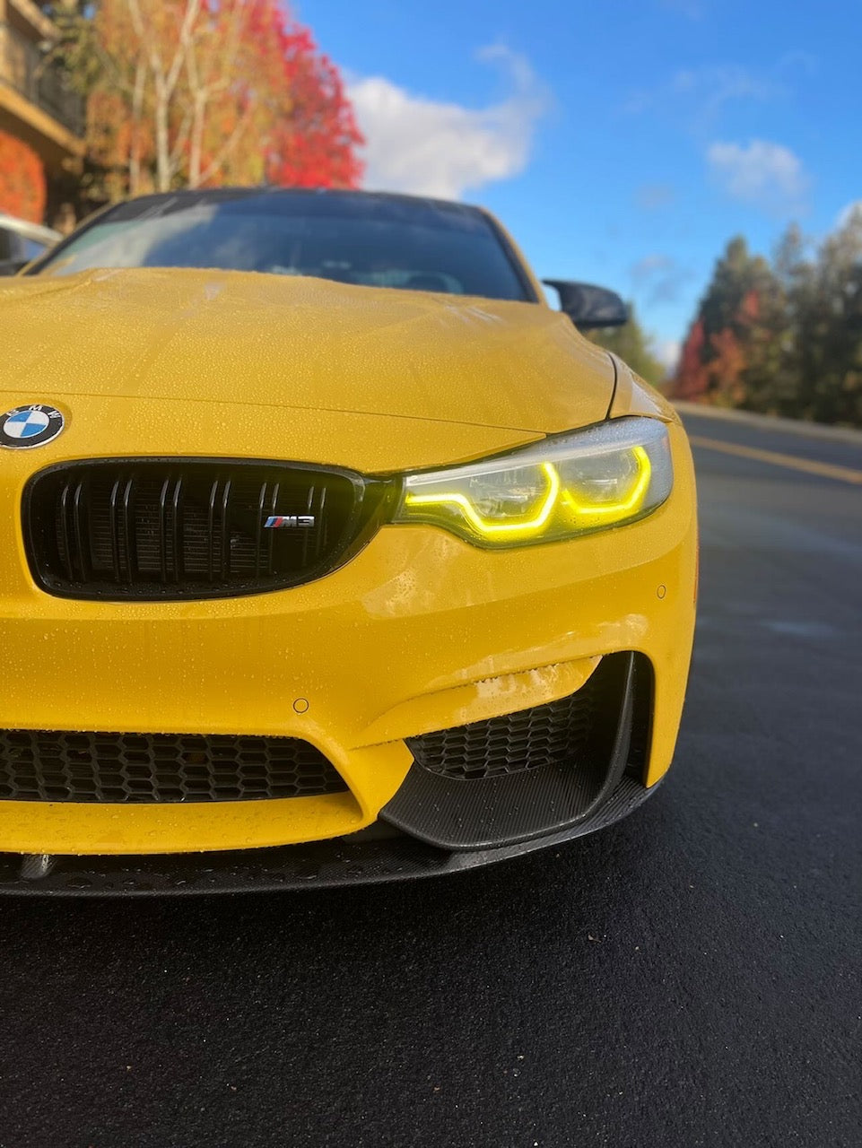 BMW F8X M3 M4 DRL Colored LED Headlight Halo Kit | Mashimarho