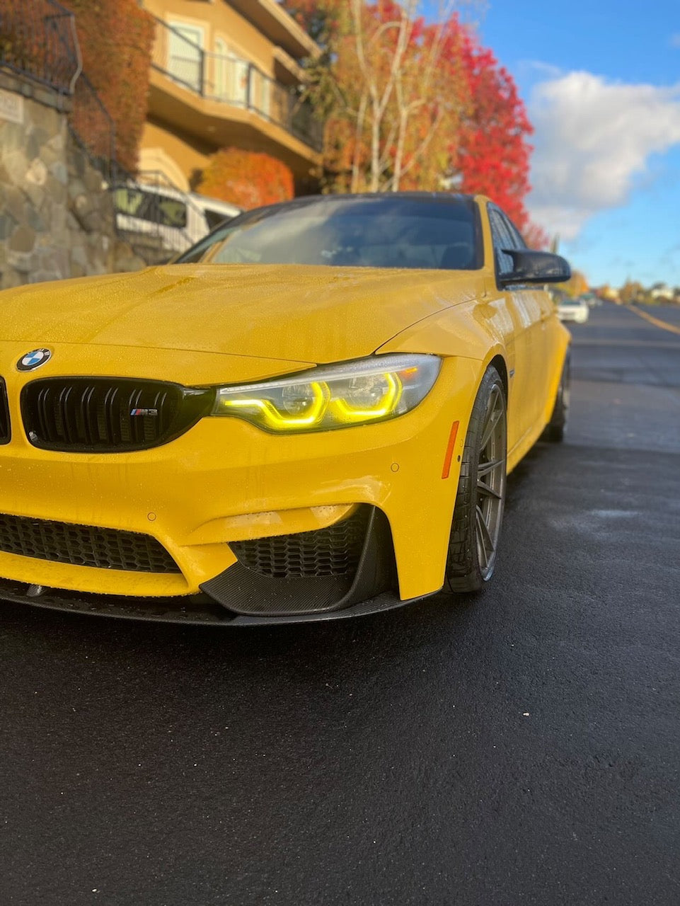 BMW F8X M3 M4 Colored LED DRL Headlight Halo Kit | Mashimarho